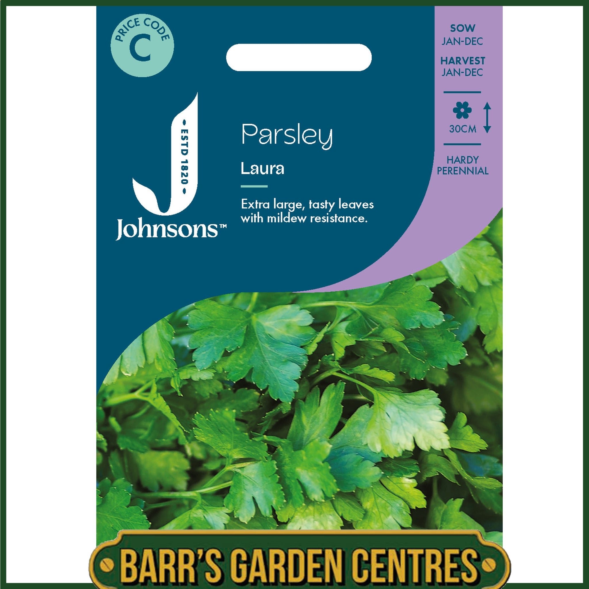 Johnsons - Herb - Parsley Laura - 500 Seeds – Barrs Garden Centres