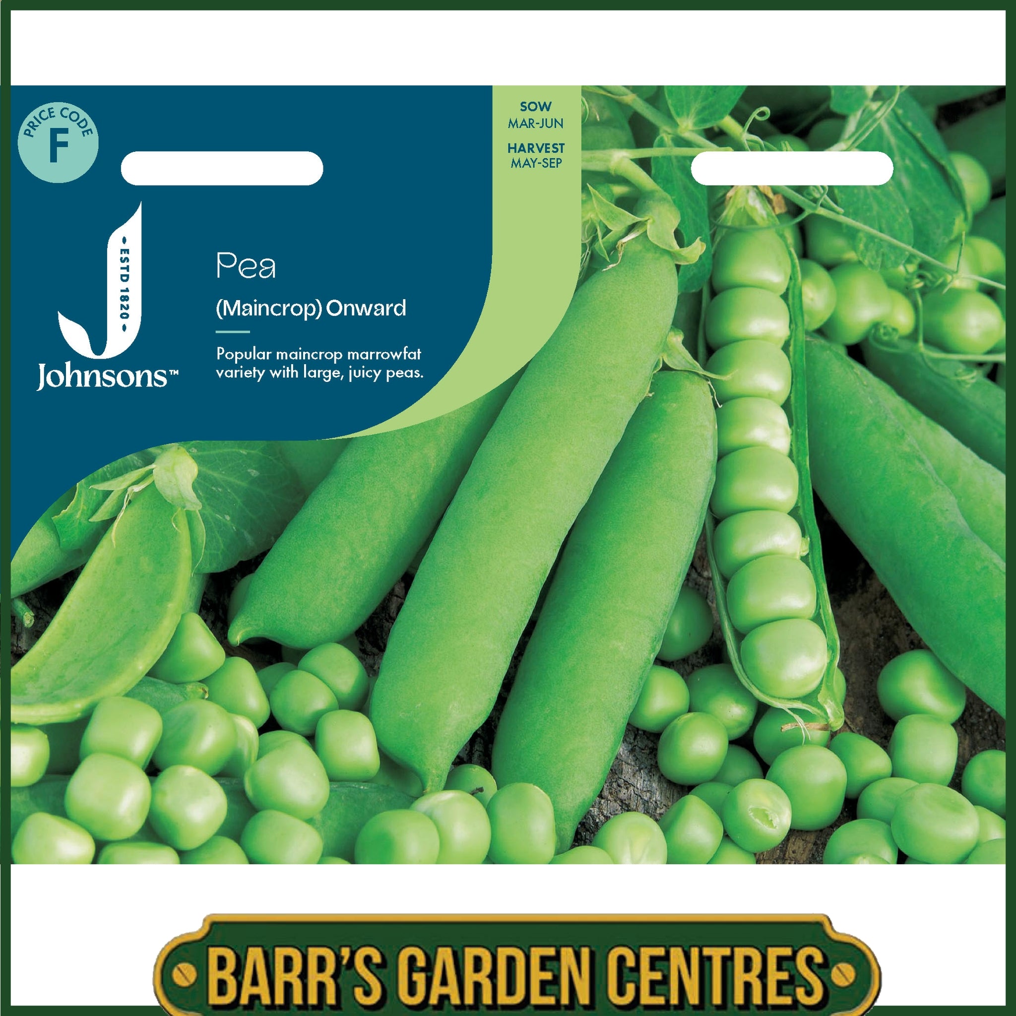 Johnsons - Pea (maincrop) Onward - 300 Seeds – Barrs Garden Centres