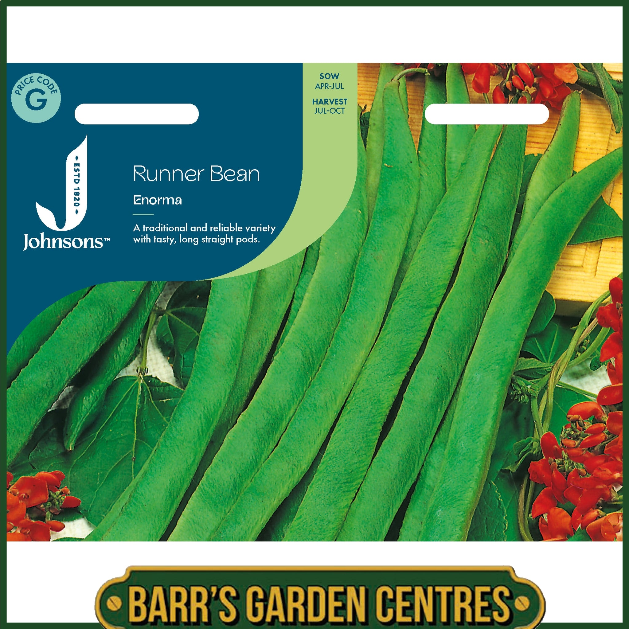 Johnsons - Runner Bean Enorma - 40 Seeds – Barrs Garden Centres