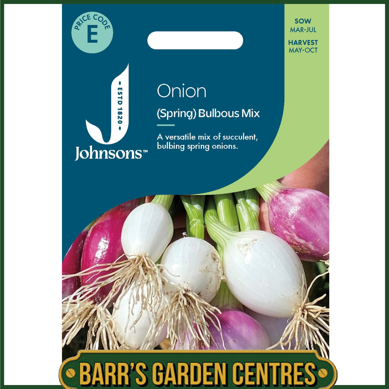 Johnsons - Onion (spring) Bulbous Mix - 250 Seeds – Barrs Garden Centres
