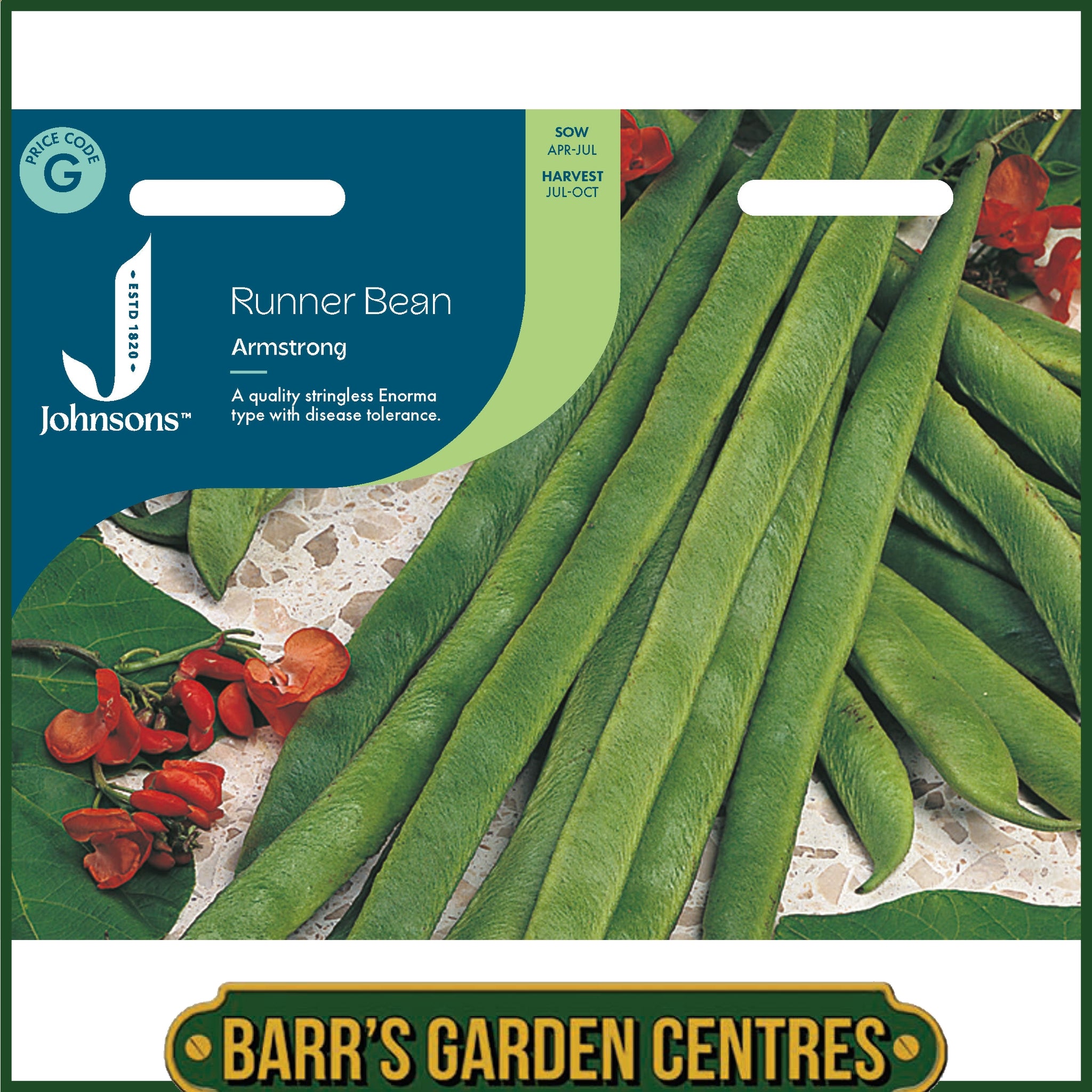 Johnsons - Runner Bean Armstrong - 40 Seeds – Barrs Garden Centres