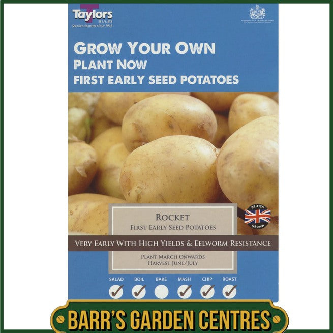 Rocket Potatoes 10 Pack – Barrs Garden Centres
