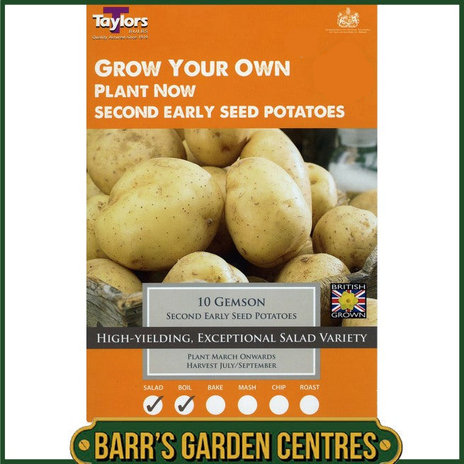 Gemson Potatoes 10 Pack – Barrs Garden Centres