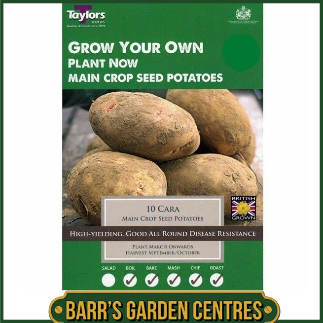 Cara Potatoes 10 Pack – Barrs Garden Centres