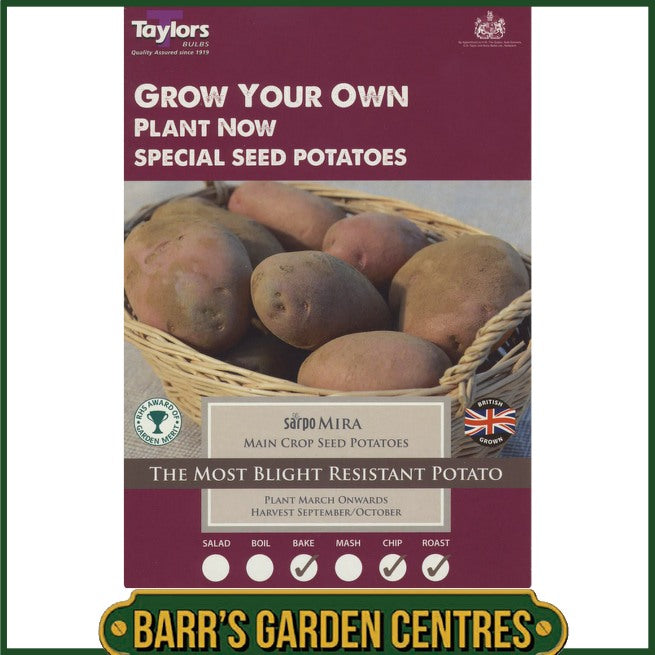 Sarpo Mira Potatoes 10 Pack – Barrs Garden Centres